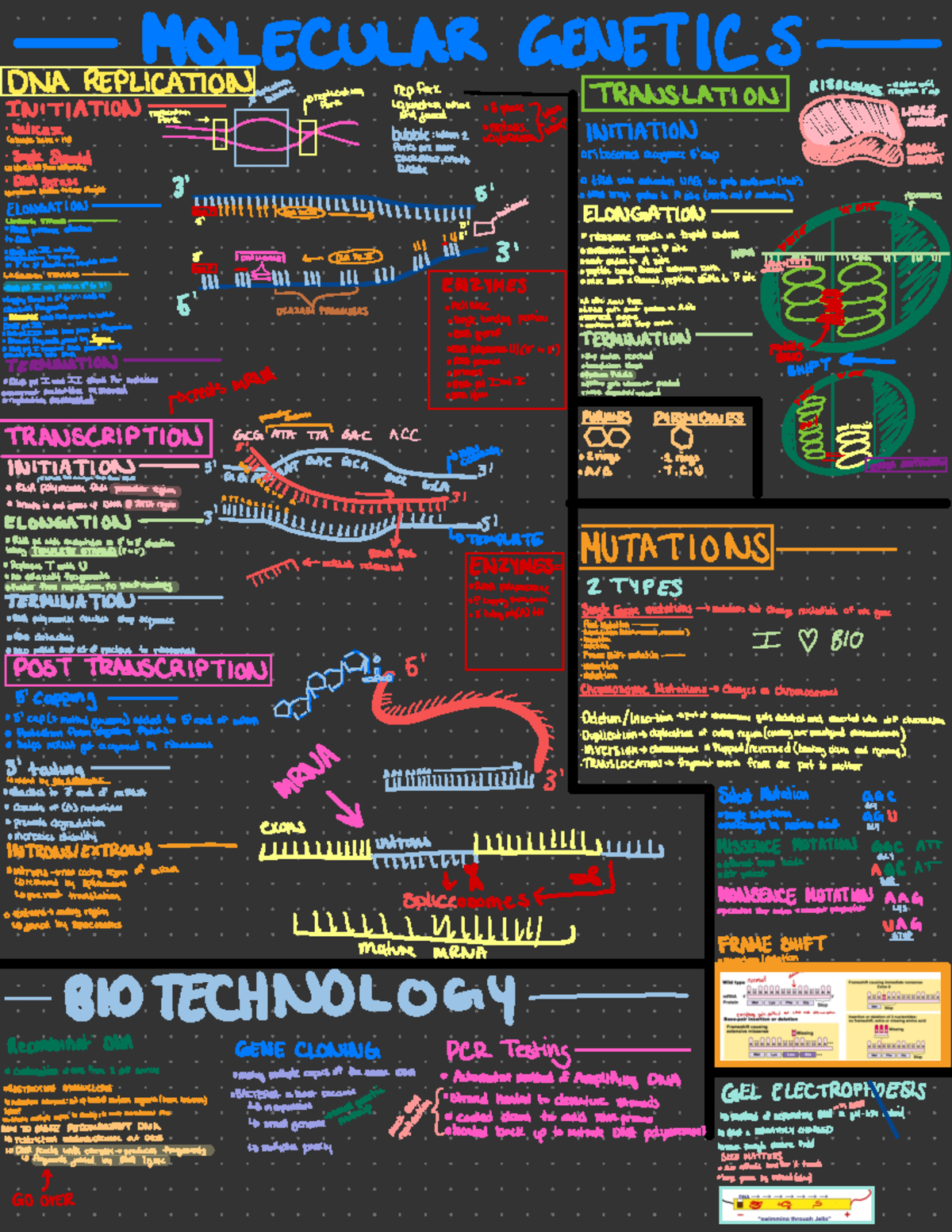 Molecular Genetics Study - MOLECULAR GENETICS- DNA REPLICATION ...