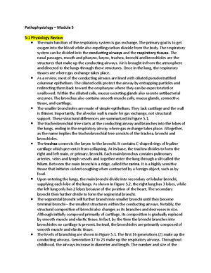 Pathophysiology module 3 - Pathophysiology Module 3 3: Features of ...