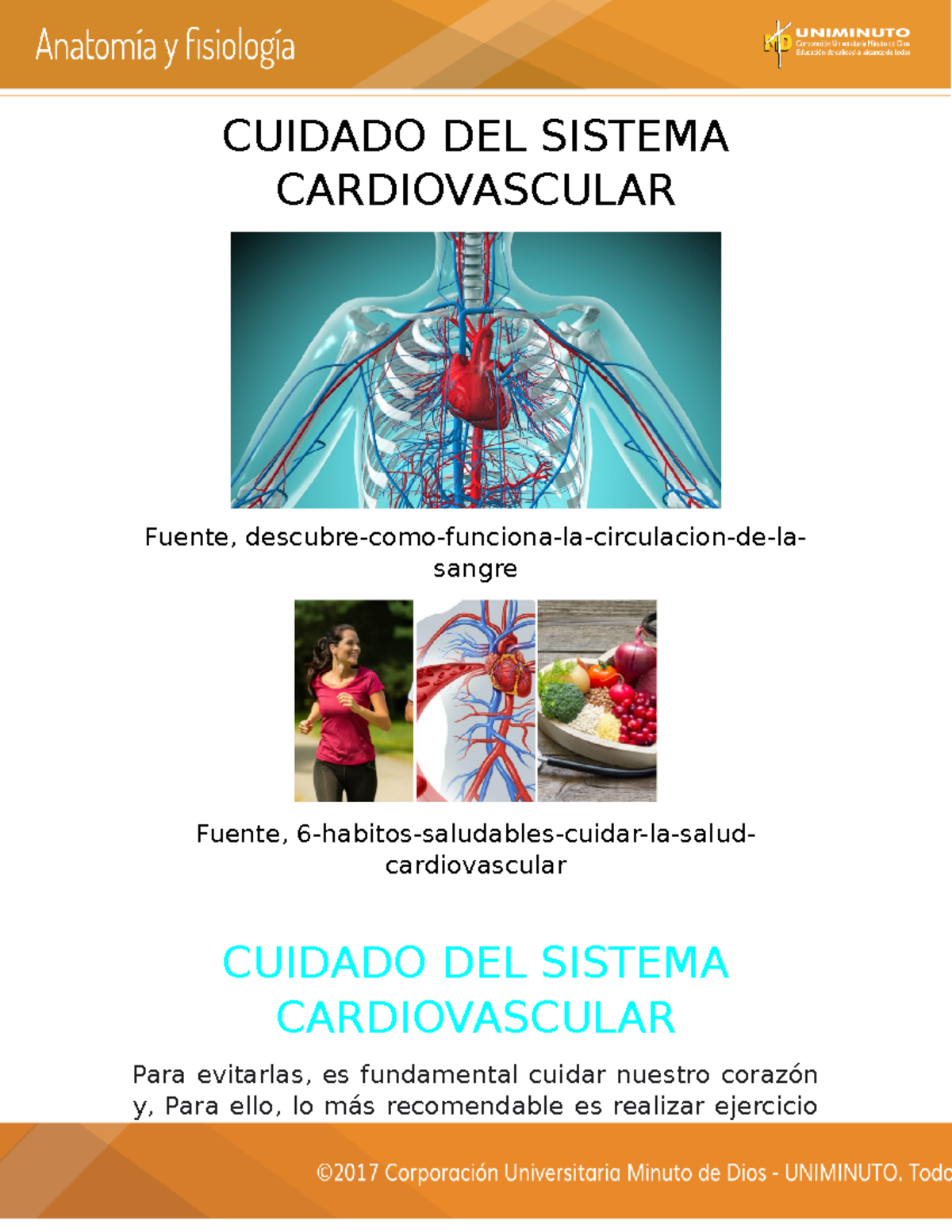 Cuidado DEL Sistema Cardiovascular - CUIDADO DEL SISTEMA CARDIOVASCULAR ...