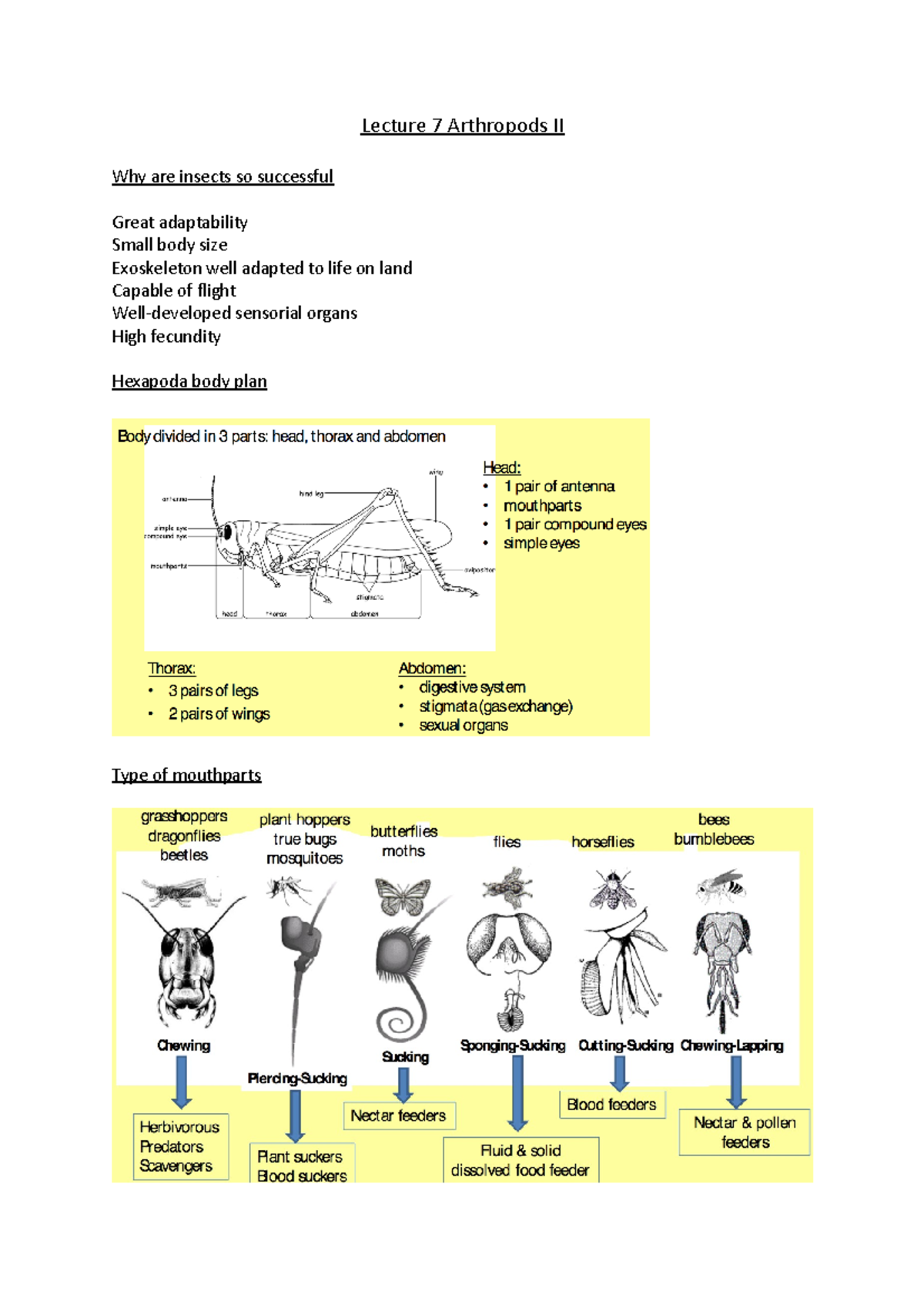 Lecture 7 Arthropods II - Studocu