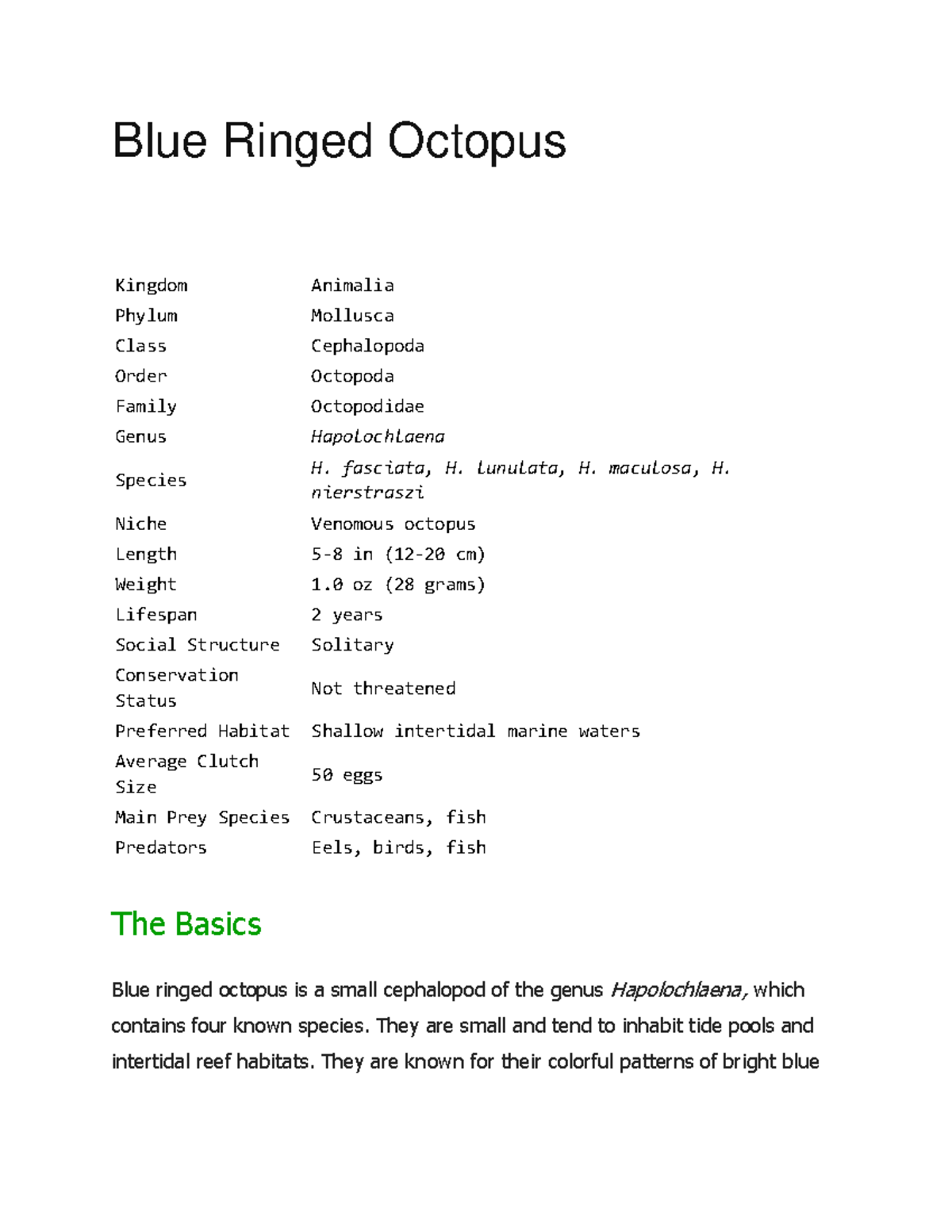 Blue Ringed Octopus - Blue Ringed Octopus Kingdom Animalia Phylum ...