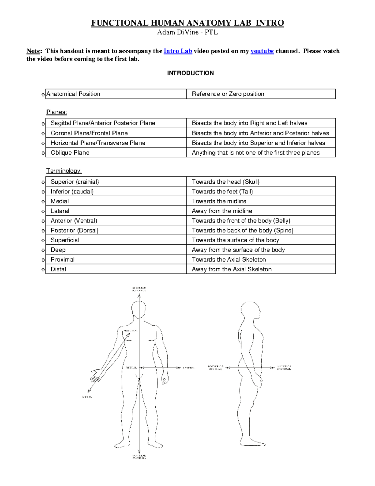 Full Handout Package (9-19-18) - FUNCTIONAL HUMAN ANATOMY LAB INTRO ...