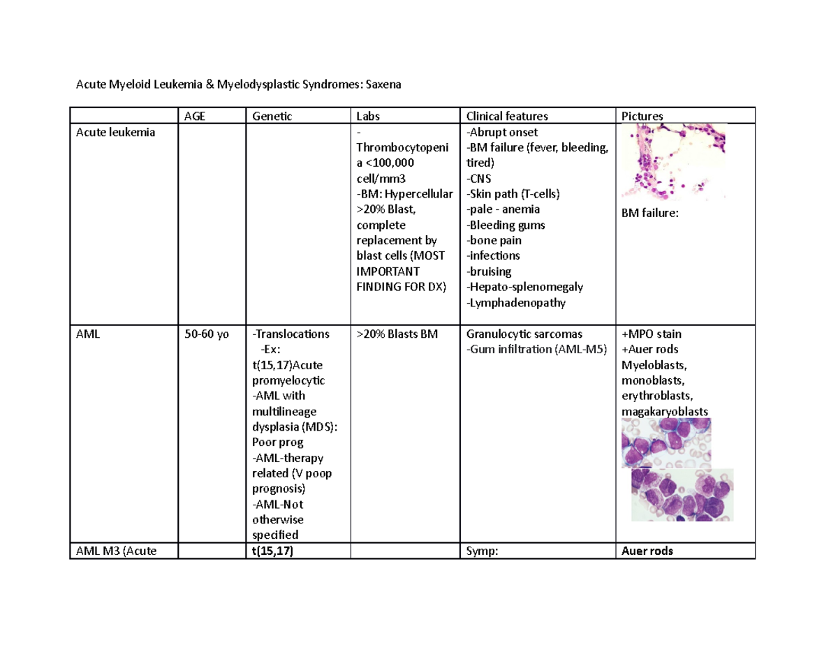 Acute Myeloid Leukemia and Myeloproliferative - Acute Myeloid Leukemia ...