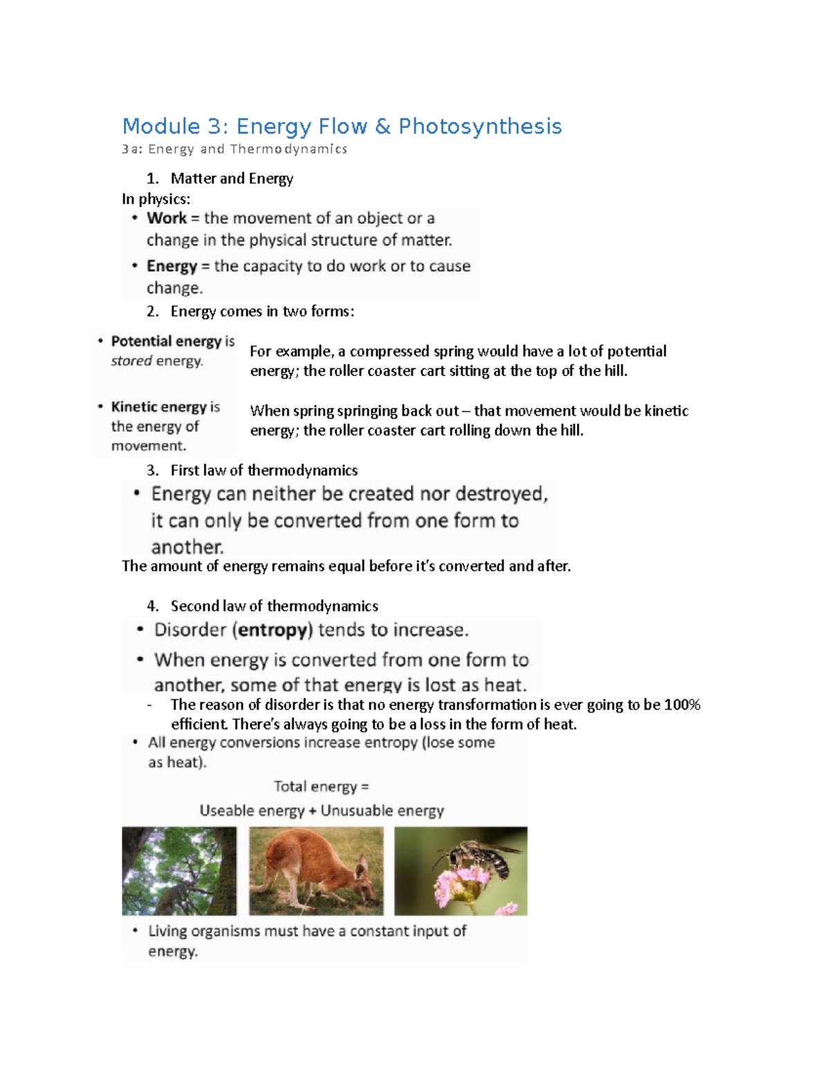 Module 3 - Lecture notes 3 - Module 3: Energy Flow & Photosynthesis 3a ...