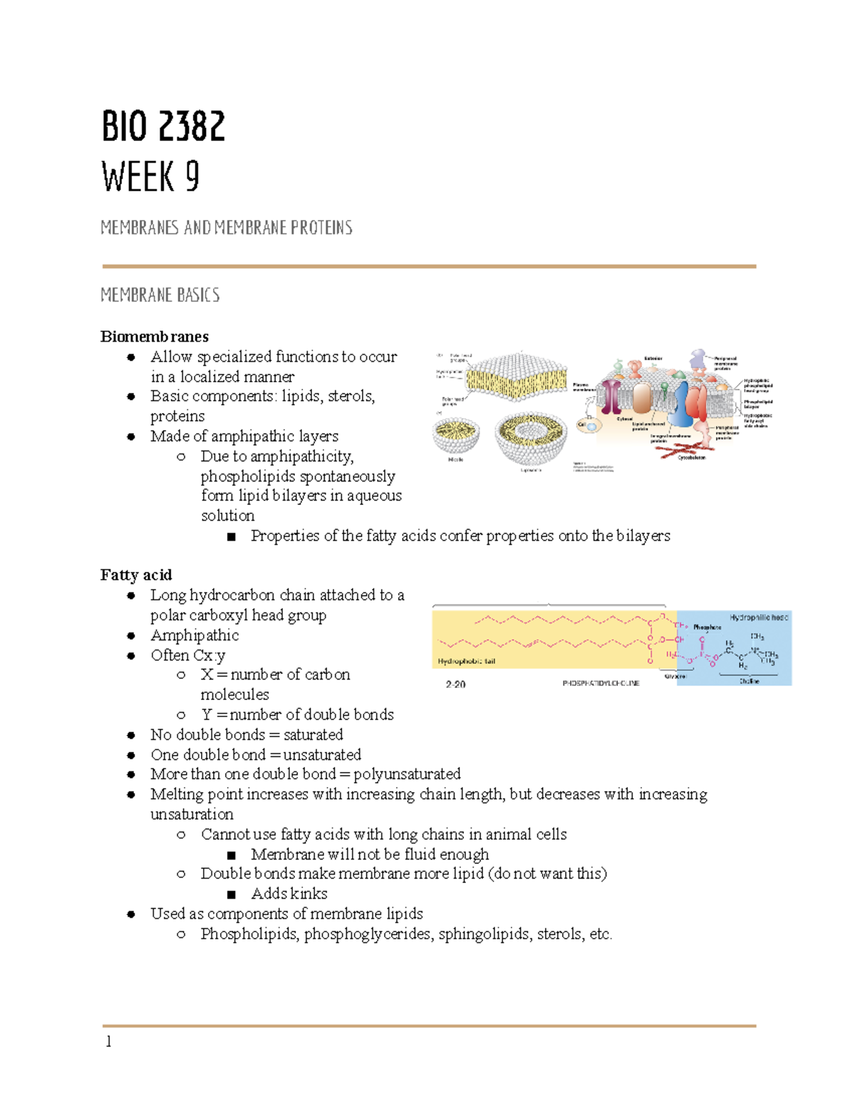 Week+9 - cell bio notes - BIO 2382 WEEK 9 MEMBRAN AND MEMBRANE PROTEINS ...