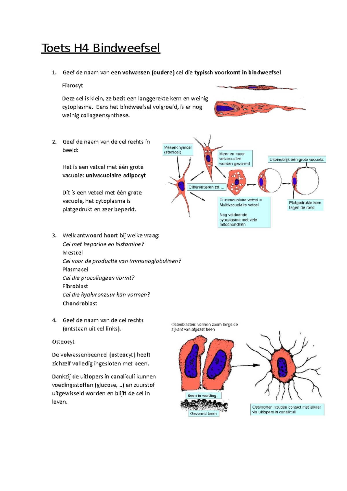 Toets H4 Bindweefsel - Toets H4 Bindweefsel Geef de naam van een ...