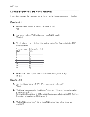 Lab-7-Mitosis-Meiosis-Lab-Worksheet 2023 - BSC 108 Lab 7: Mitosis and ...