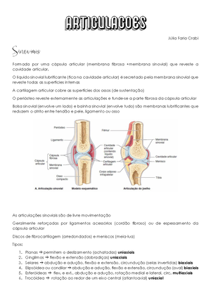 Resumo sobre a anatomia da boca - BOCA: vestíbulo da boca + cavidade ...