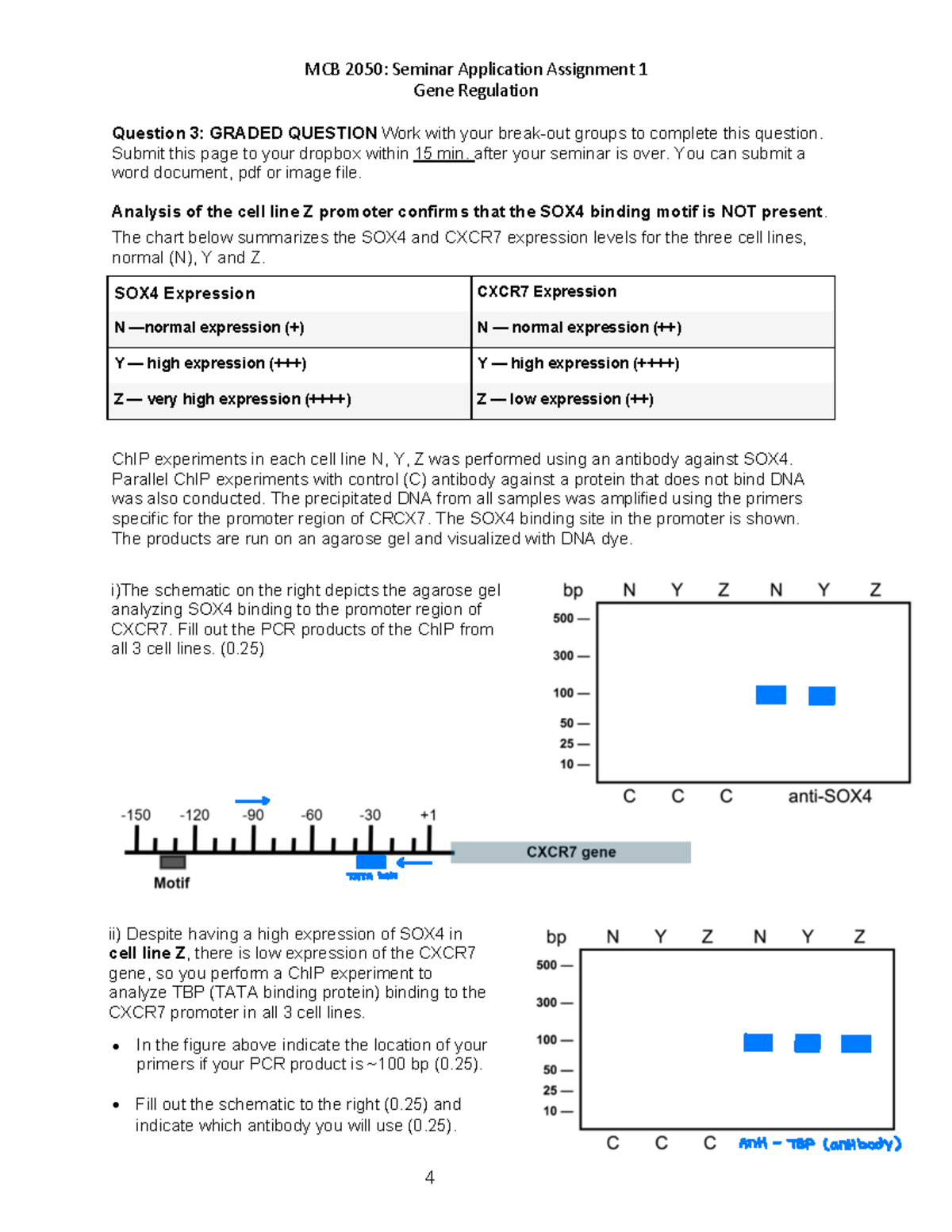 Seminar 1 - MCB 2050: Seminar Application Assignment 1 Gene Regulation ...