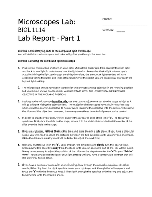 Excellent Student Example Art Curator Project - Alexandra Yanez Art 100 ...