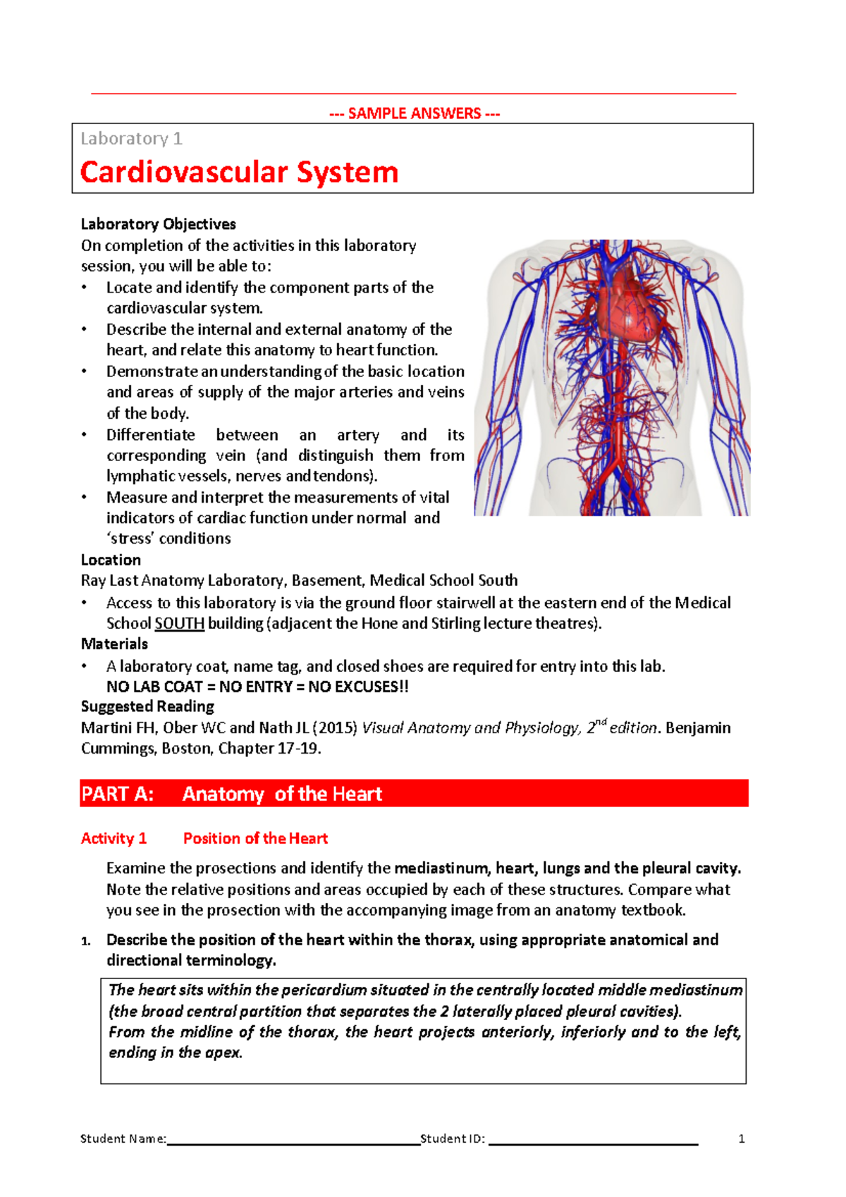 HBIB Lab 1 Cardiovascular System- Answers - Lab 1: Cardiovascular ...