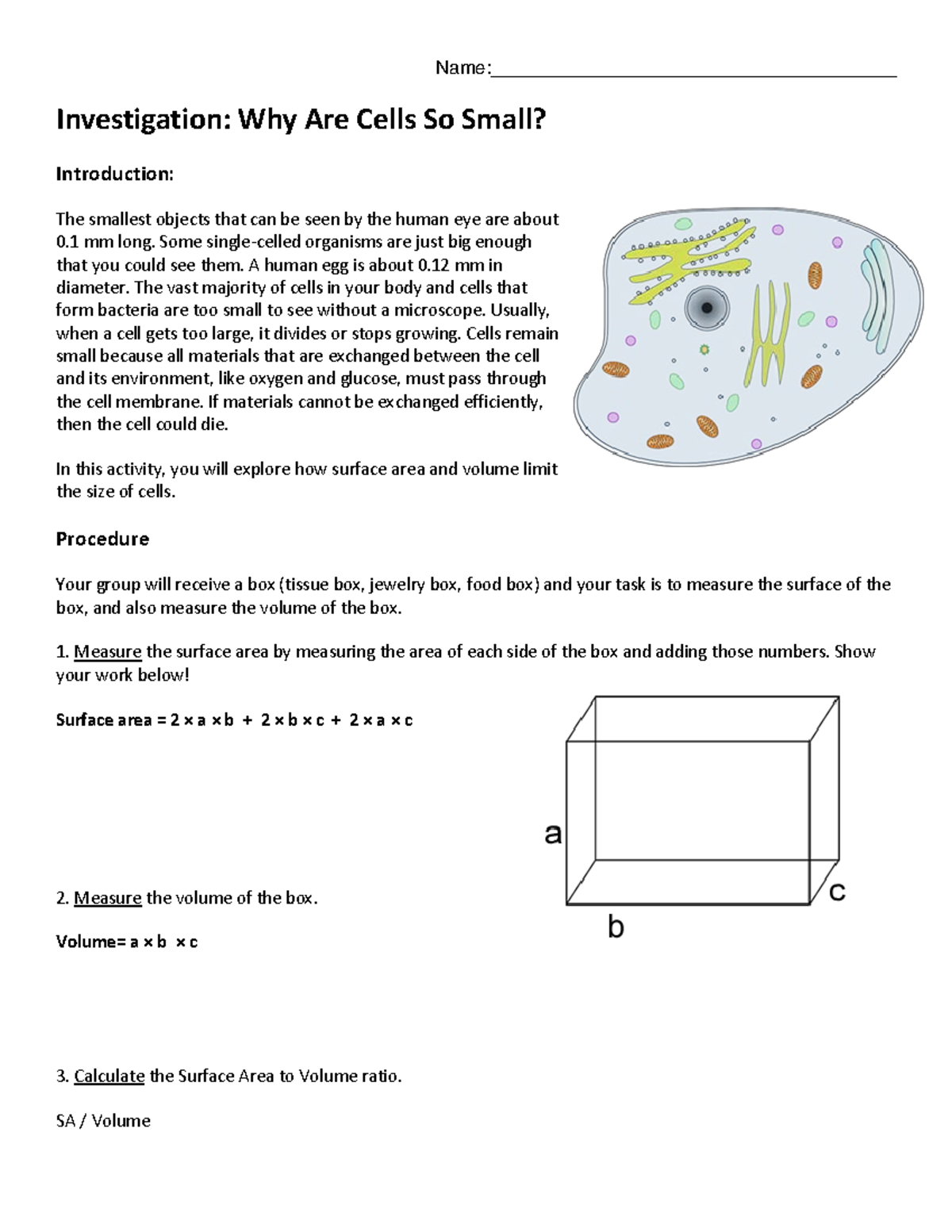 (lab) Investigation Why are Cells So Small - Name