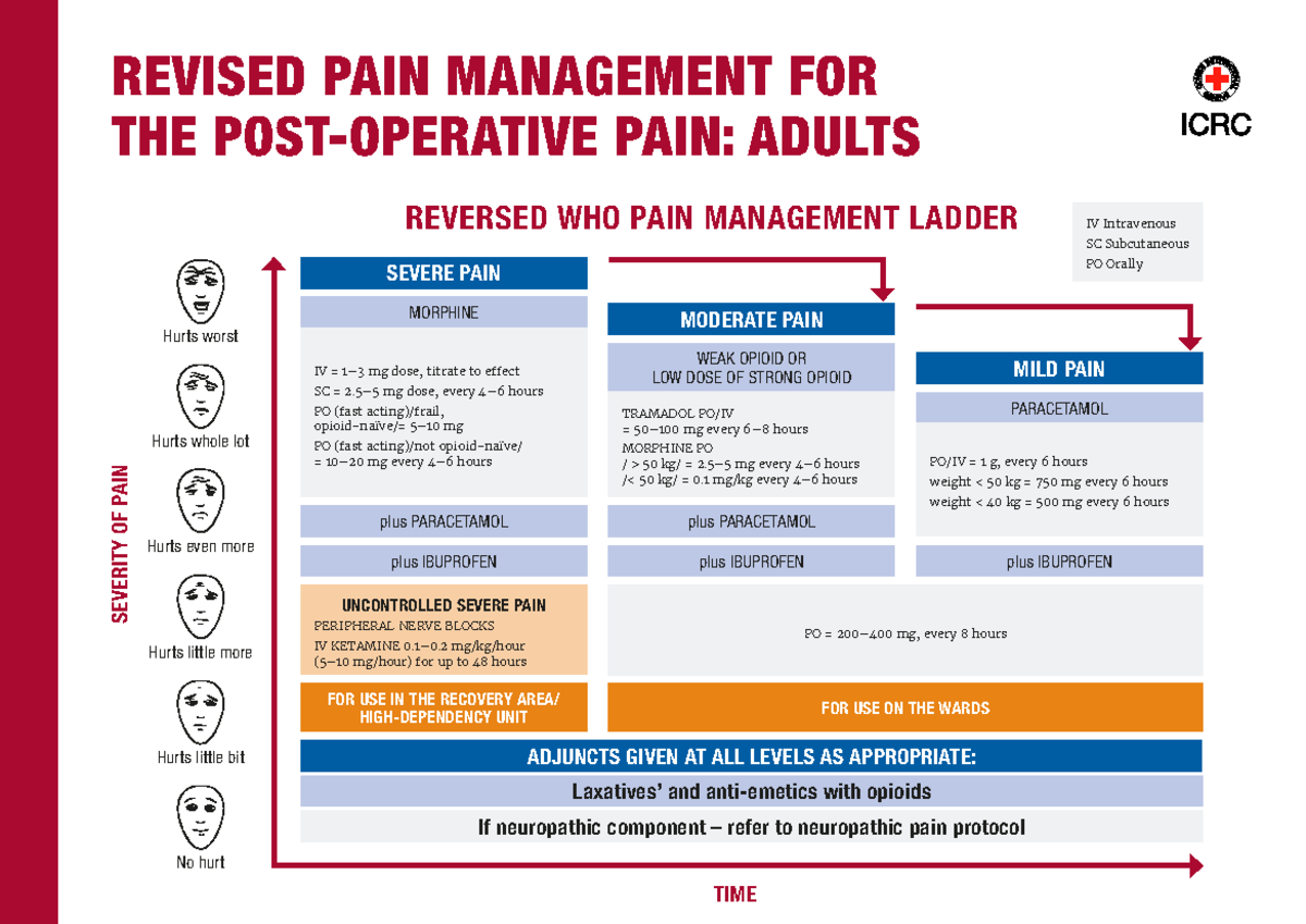 Pain management ladder - SEVERE PAIN REVISED PAIN MANAGEMENT FOR THE ...