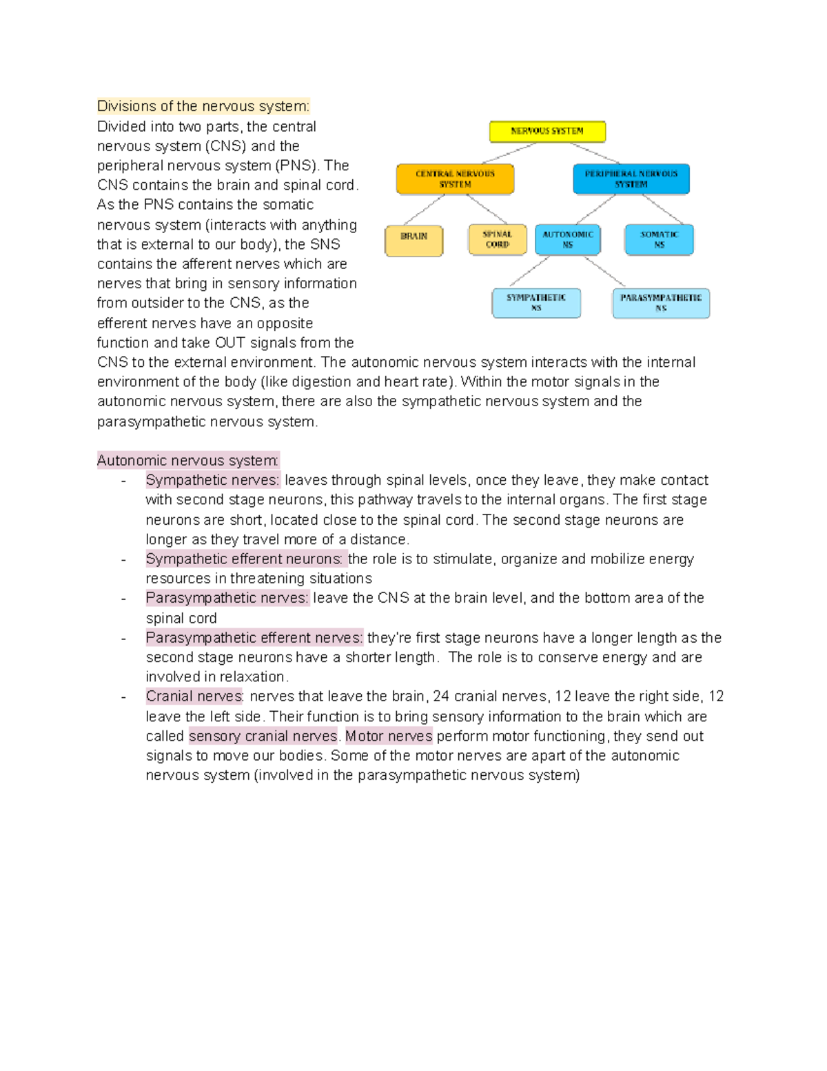 PSYC 275- Anatomy of the nervous system (Sept. 13th) - Divisions of the ...