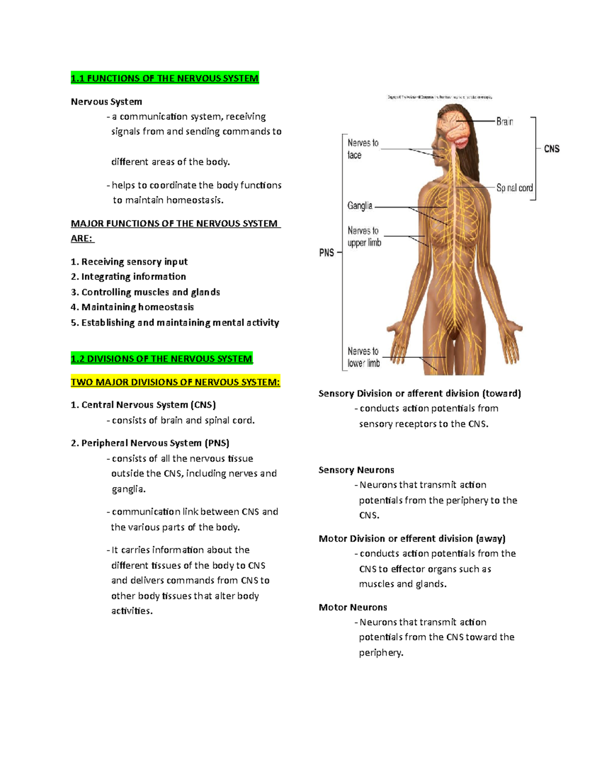 Nervous - Summary Seeley's Anatomy and Physiology - 1 FUNCTIONS OF THE ...