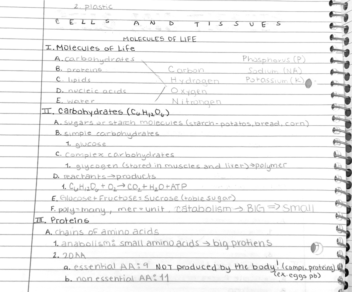 Cells And Tissues - Molecules of Life, lipids, carbohydrates, proteins ...