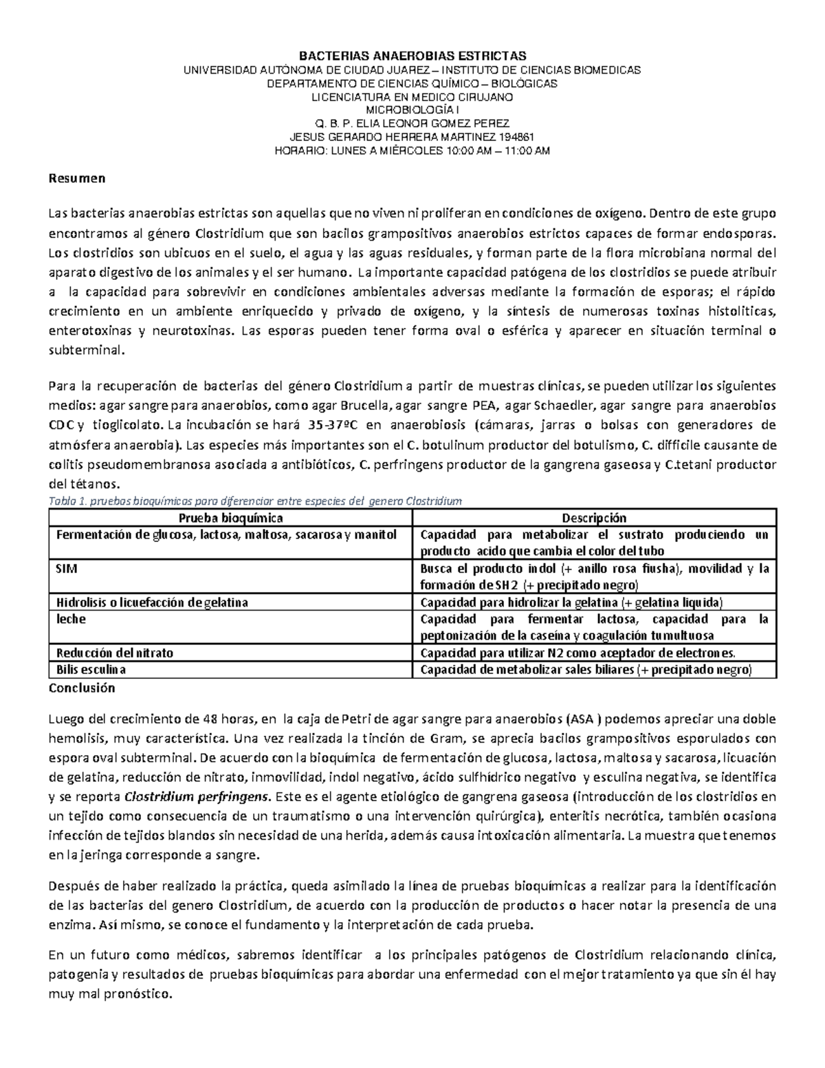 Bacterias anaerobias estrictas - Warning: TT: undefined function: 32 BACTERIAS ANAEROBIAS ...