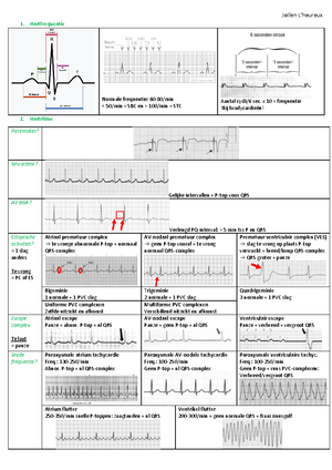 Anatomie samenvatting copy - Anatomie Terminologie Anatomische houding ...