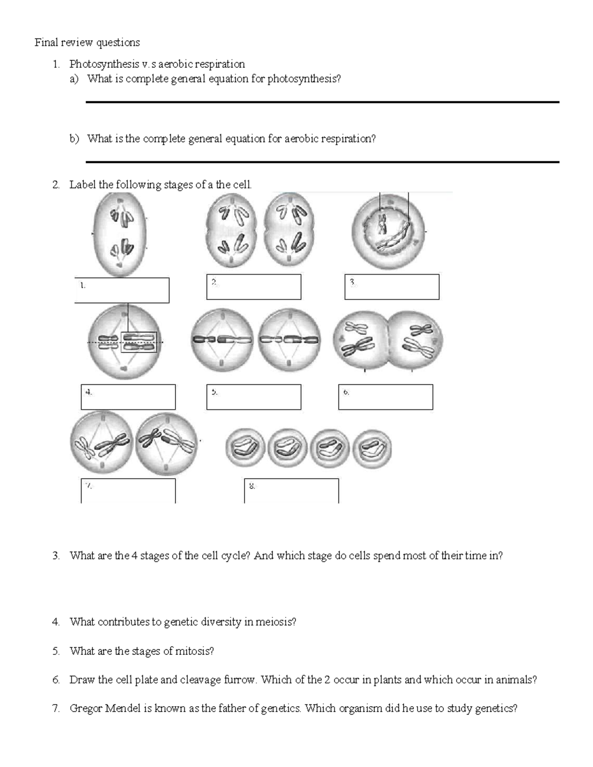 BIO 201 Final Queestions - Final review questions Photosynthesis v ...