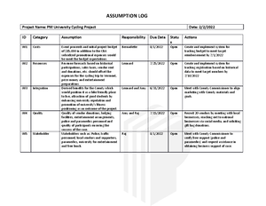 Template - Assumption Log v1 CFD - ASSUMPTION LOG Project Name: PM ...