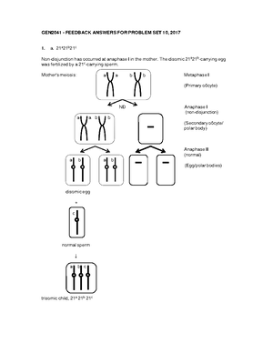 W3 Lecture B - Types of Mutations - Types of Mutations Human ...