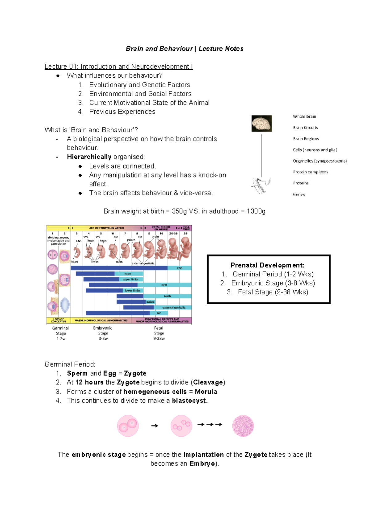 Brain And Behaviour Lecture Notes Brain And Behaviour Lecture Notes