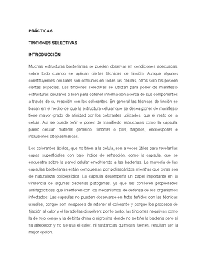 Reporte DE LA Práctica 4 - Alumno Juan Ramón Martínez Jocobi ID 209152 Asignación Reporte ...