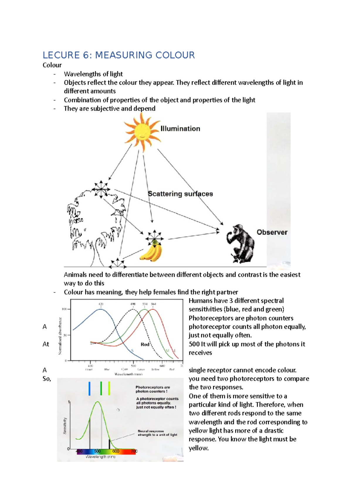 Lecure 6 - Lecture 6 notes. - LECURE 6: MEASURING COLOUR Colour ...