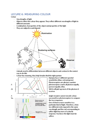 Lecture notes 5-12 - LECTURE 5: VERTEBRATE VISION - Light is ...