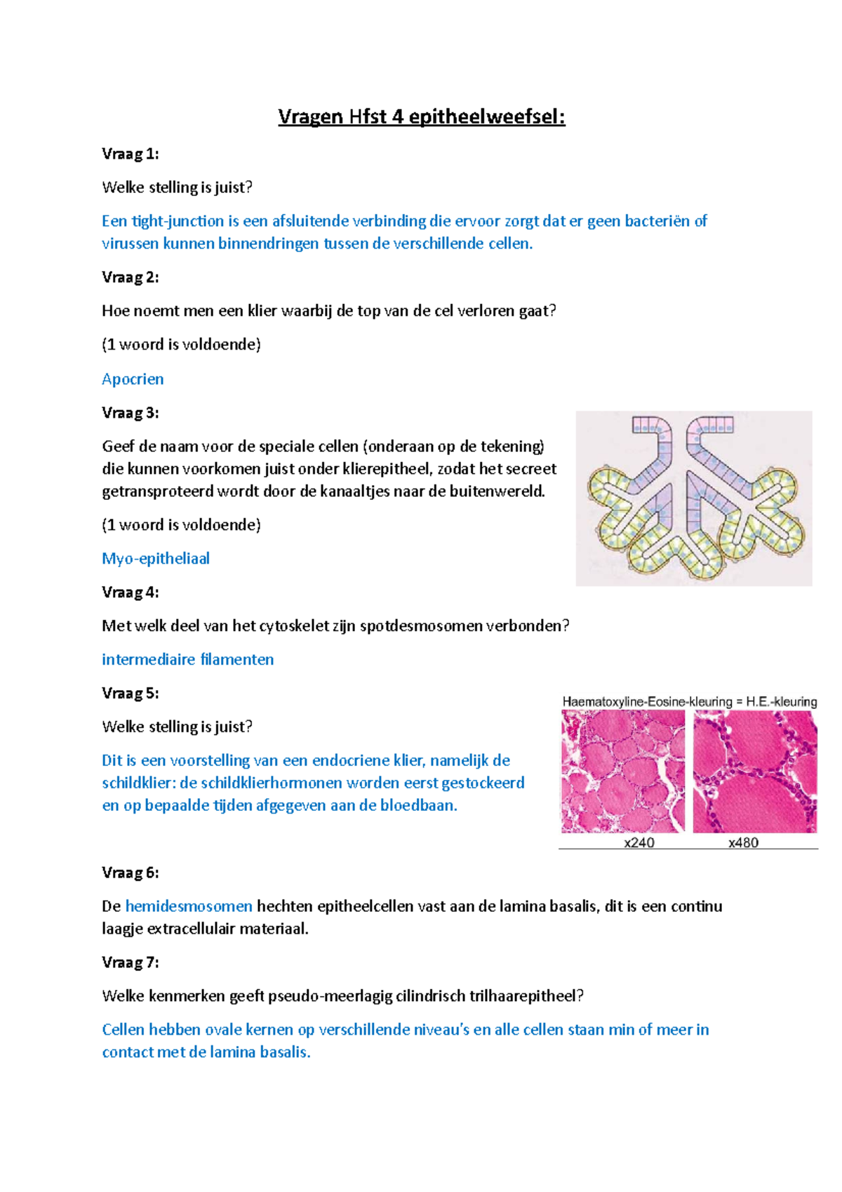 Vragen hfst 4 epitheelweefsel toetsen + examen - Vragen Hfst 4 ...