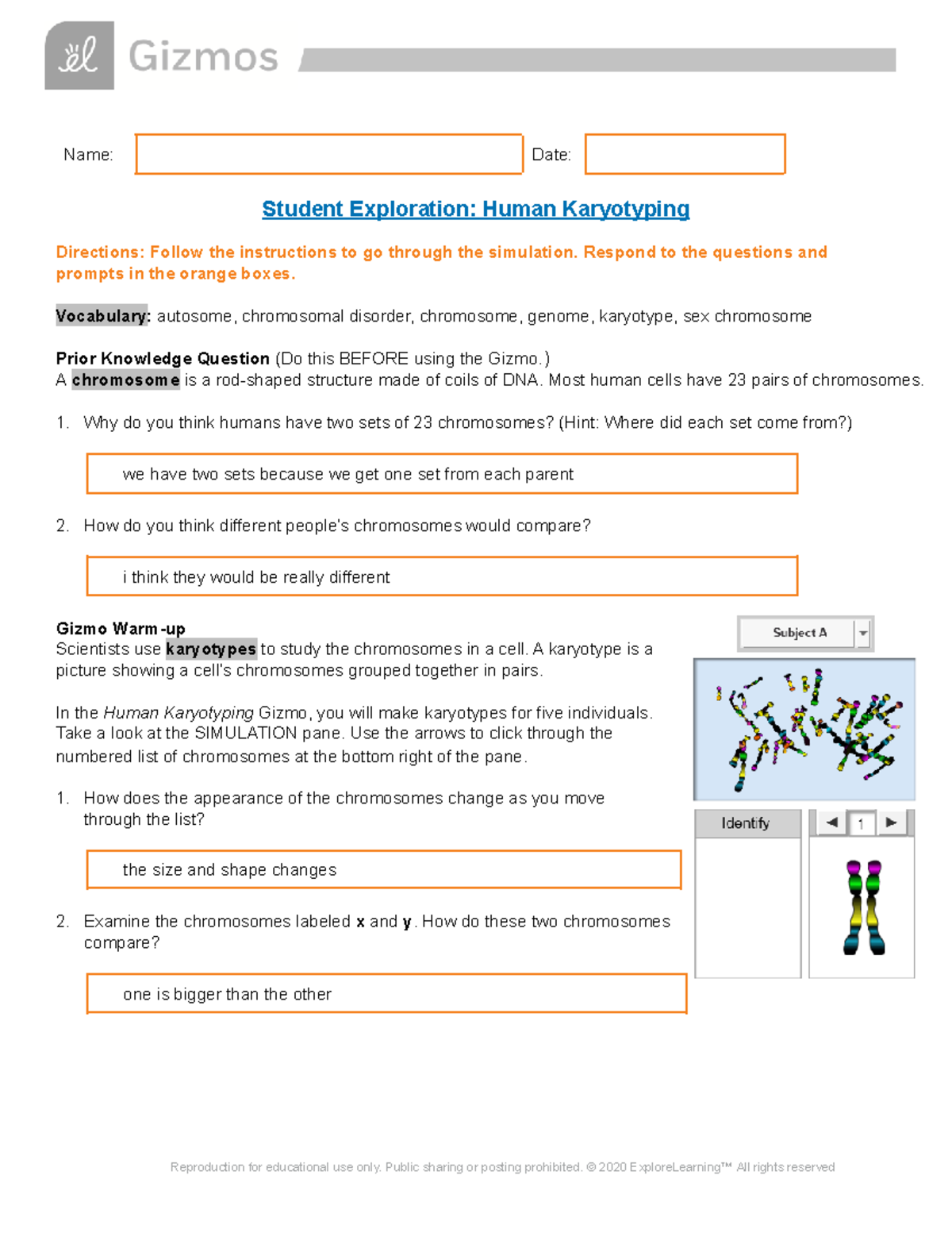 Saleha Manakh - Human Karyotyping Gizmo - Name: Date: Student ...