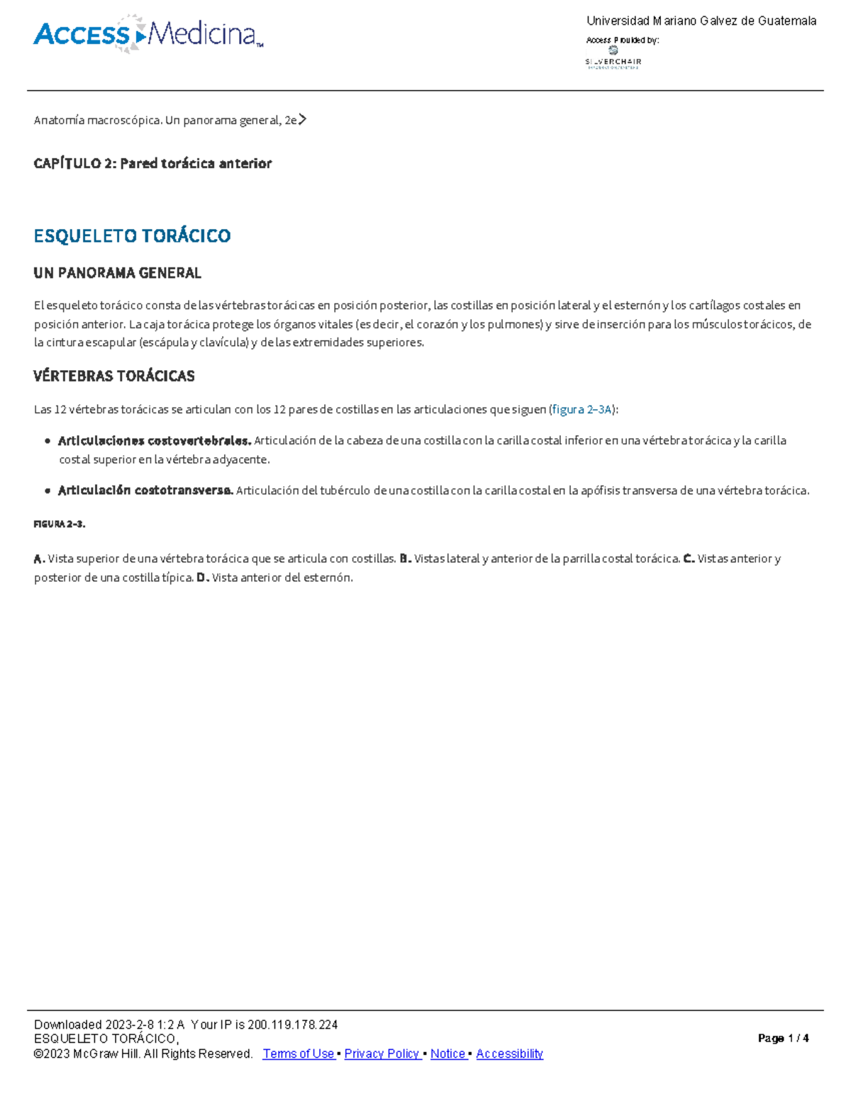 Esqueleto TORÁCICO - resuemn sobre que es el sistema toracico ...