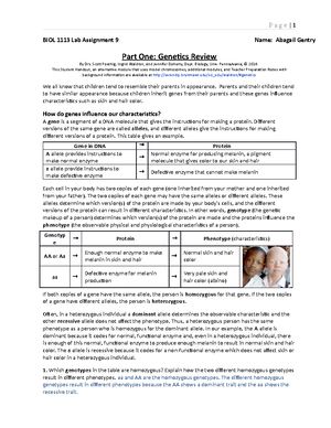 Lab 9 - lab 9 - Lab 9: Genetics Genetics - Study of how biological info ...