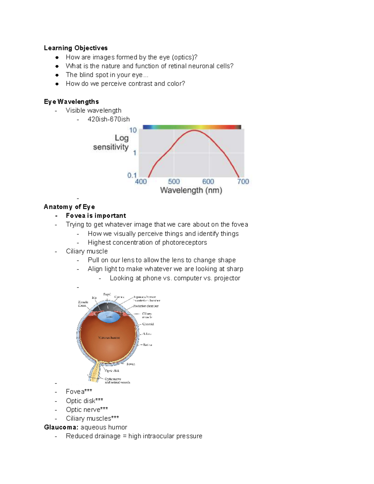 Unit 3- Visual Systems - KIN 460 Spring 2023 Sam Zeff - Learning ...