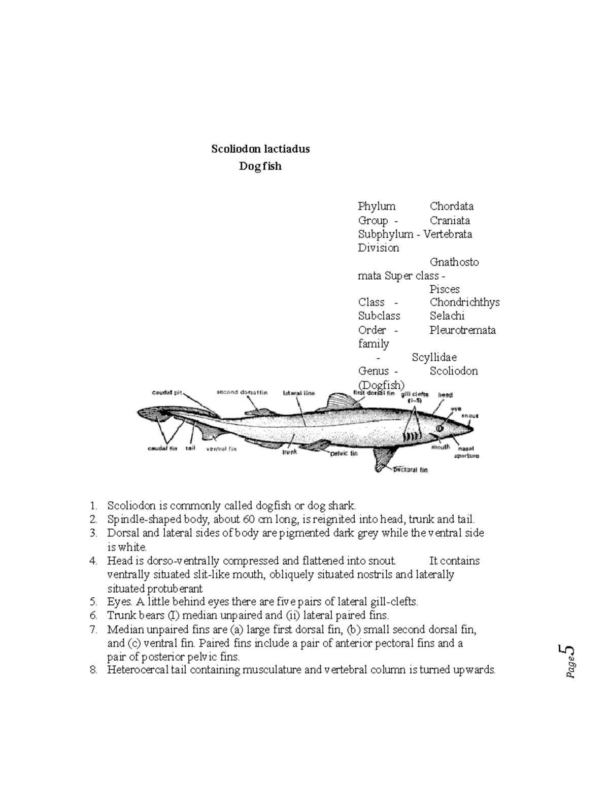 Practical chordata - Zoology - SGBAU - Studocu