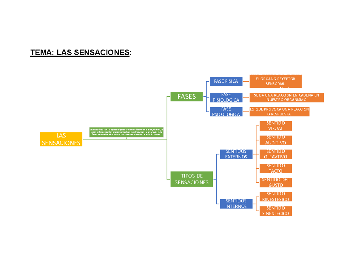 Sensaciones(psicologia) - LAS SENSACIONES FASES FASE FISICA En ella el ...