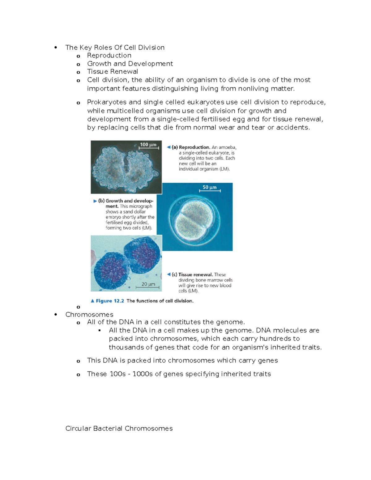 Module 1 Part 1 notes - The Key Roles Of Cell Division o Reproduction o ...
