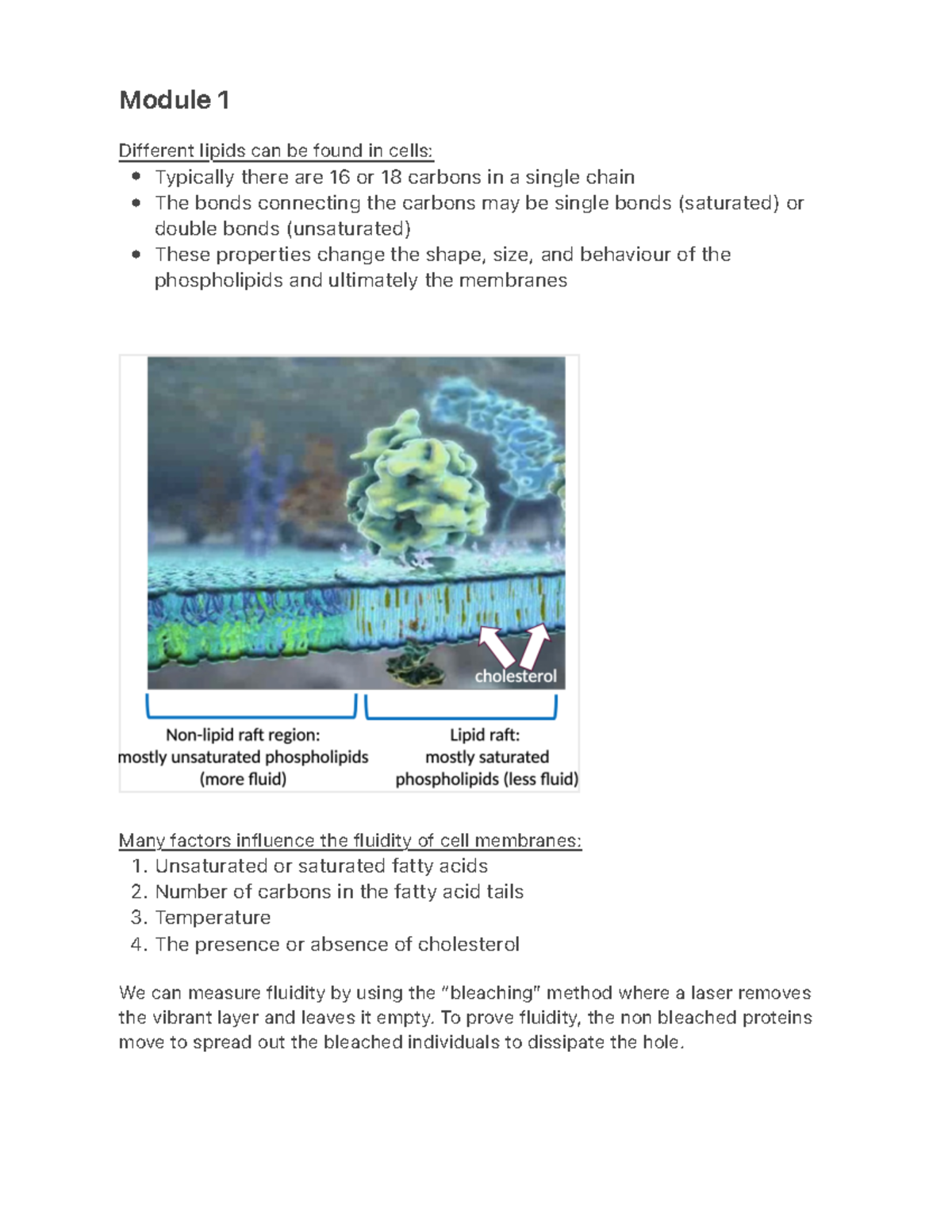 Module 1 - notes - 1. 2. 3. 4. Module 1 Different lipids can be found ...