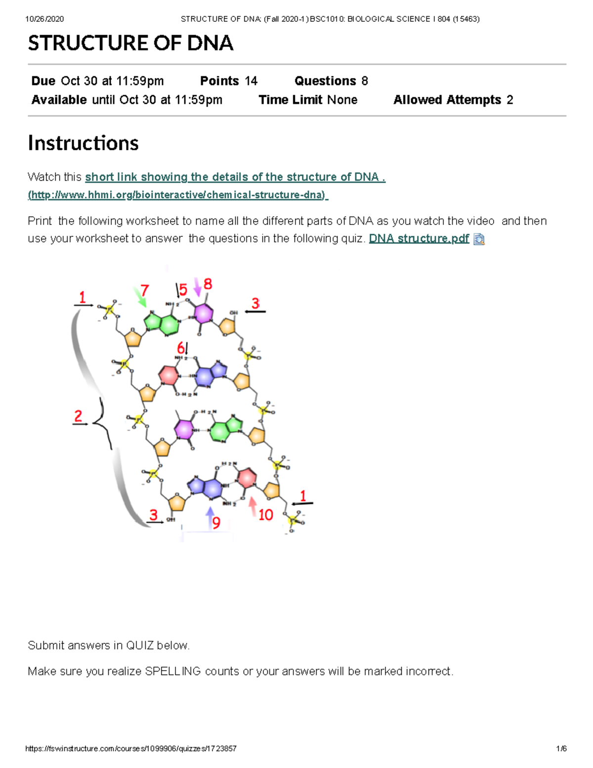 Structure OF DNA (Fall 2020-1) BSC1010 Biological Science I 804 (15463 ...