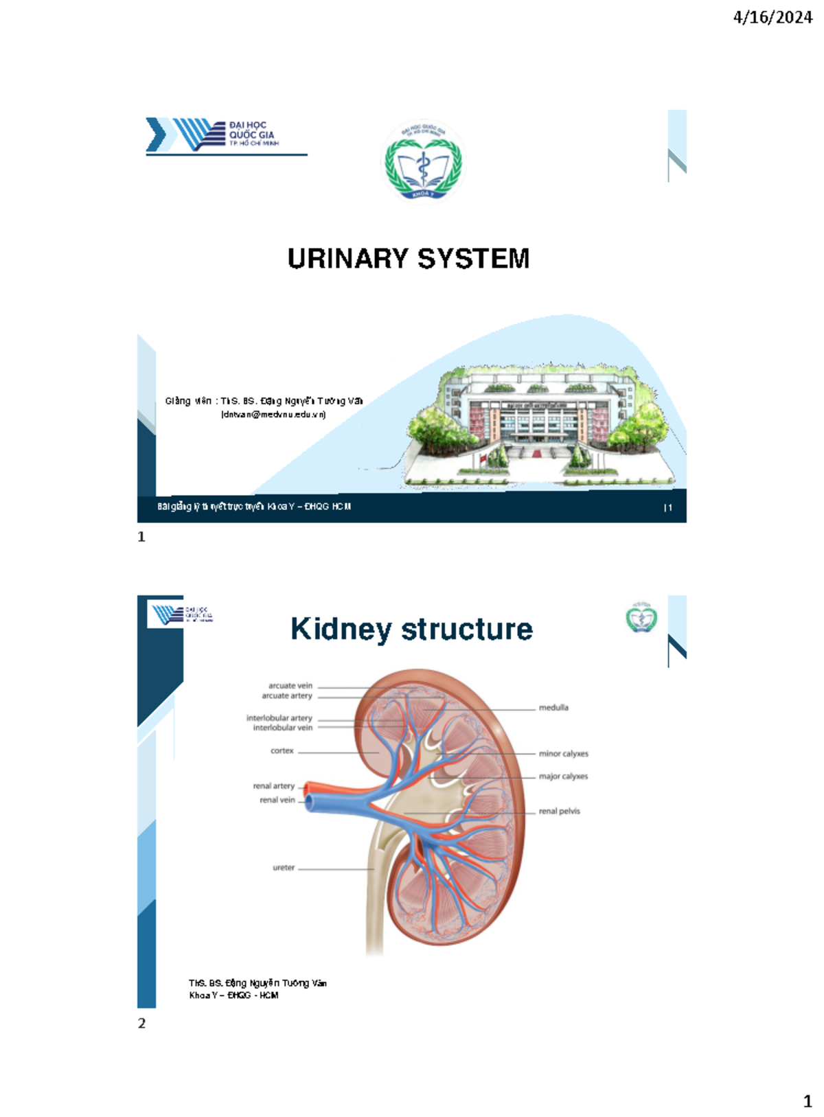 Urinary system - English - | 1 URINARY SYSTEM Giảng viên : ThS. BS ...