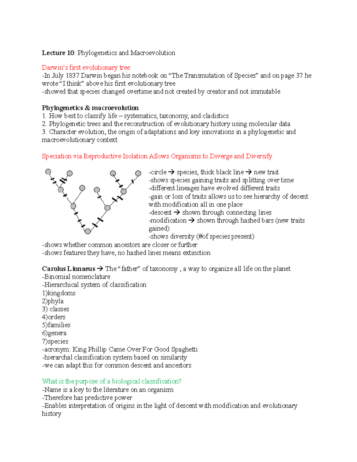 Lecture 10 Notes - Lecture 10: Phylogenetics and Macroevolution Darwin ...