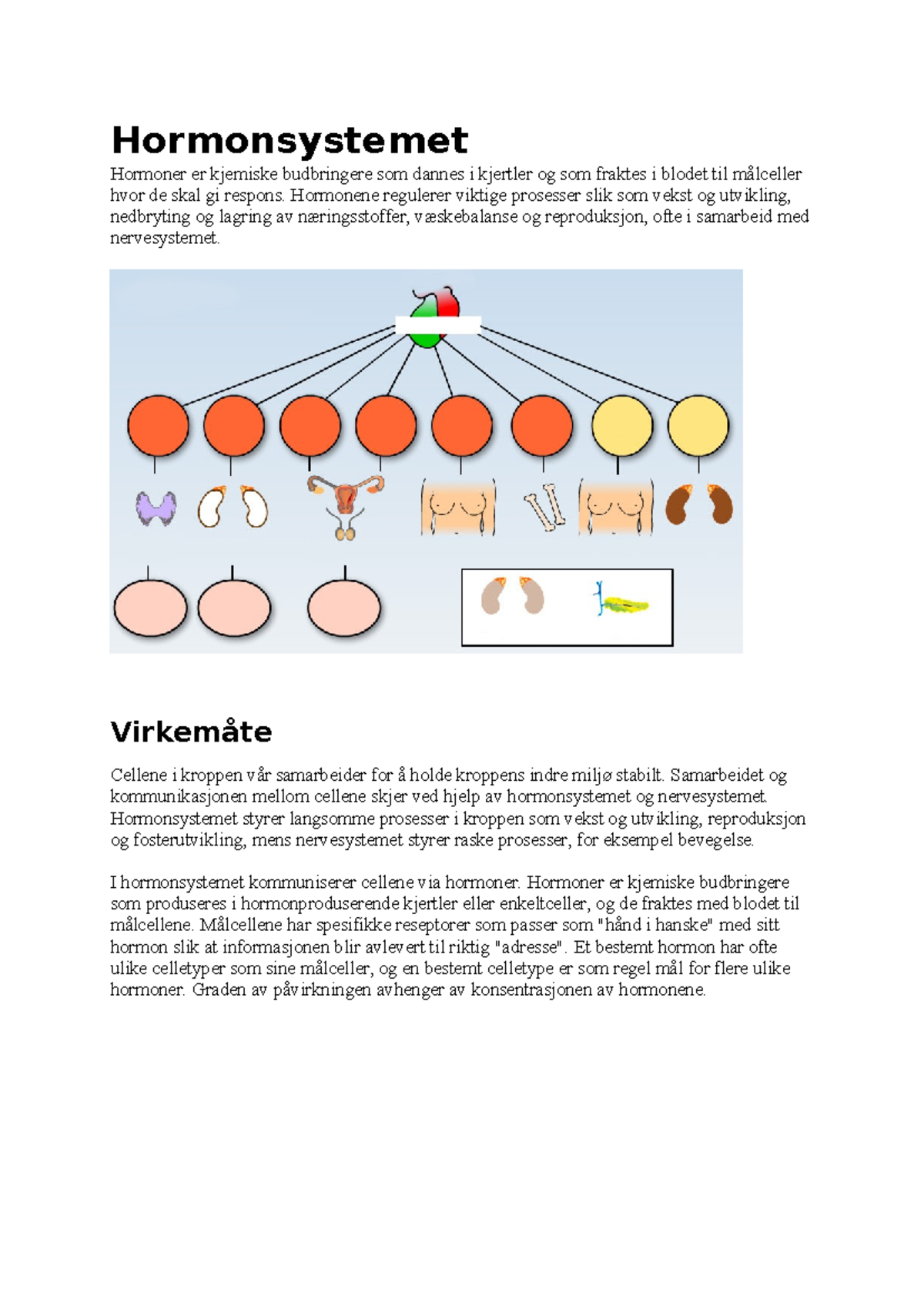 Hormonsystemet - notater - Hormonsystemet Hormoner er kjemiske budbringere som dannes i kjertler ...