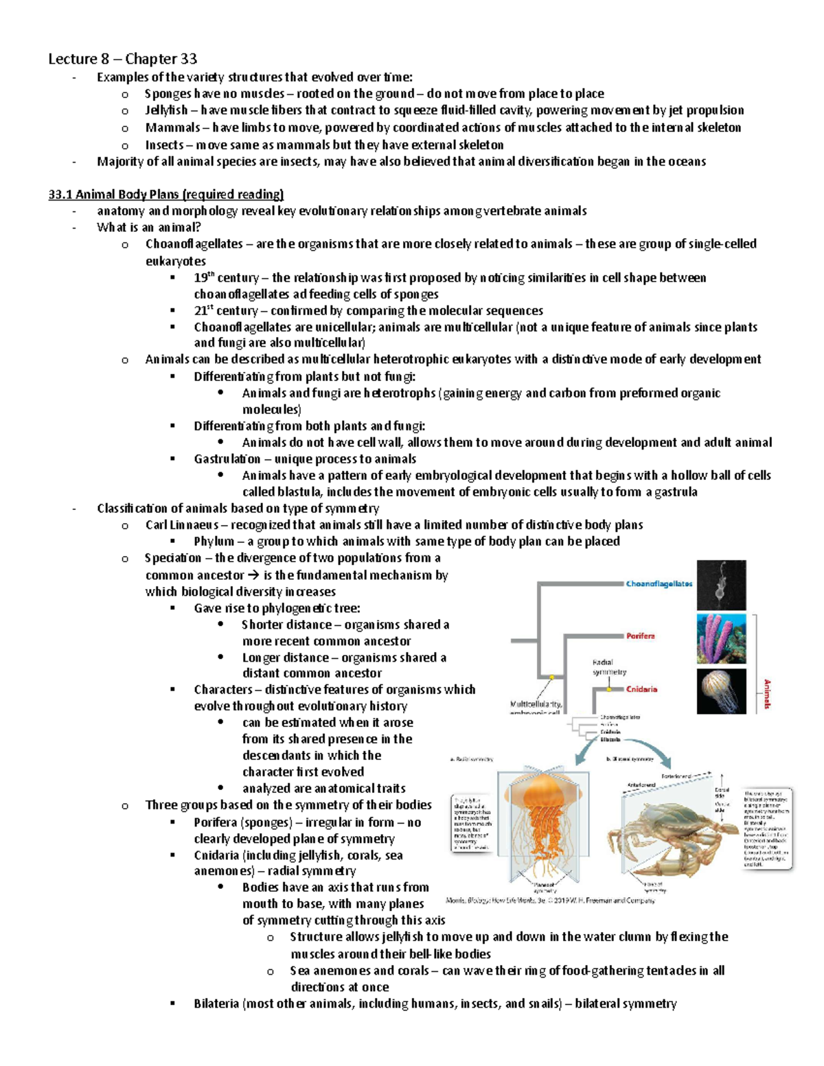 L8 - Animal body plan - Examples of the variety structures that evolved ...
