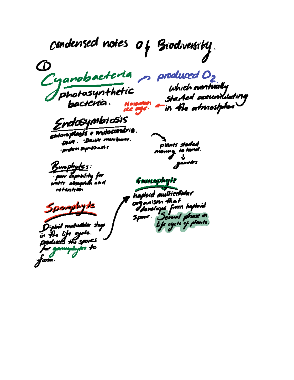 Biodiversity condensed notes - BIOL10511 - Studocu