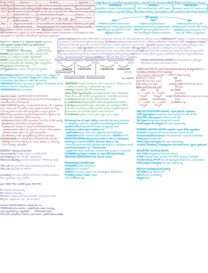 3355 Exam Notes - Entire course summary for final exam - Heat Shock ...