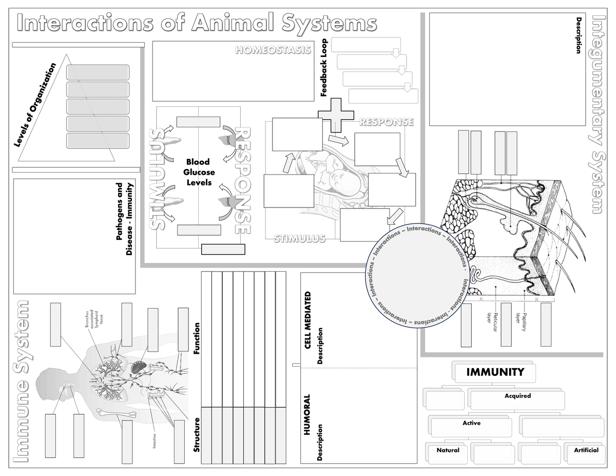 Interactions of Animal Systems - Poster - Interactions of Animal ...