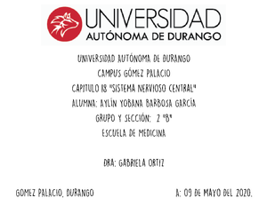 Capitulo 8. Cavidades Corporales, Mesenterios Y Diafragma - El celoma ...