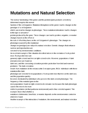 Unit 7 Cell Biology - Lecture notes 7 - Topic 5-7 - Enzymology Enzymes ...