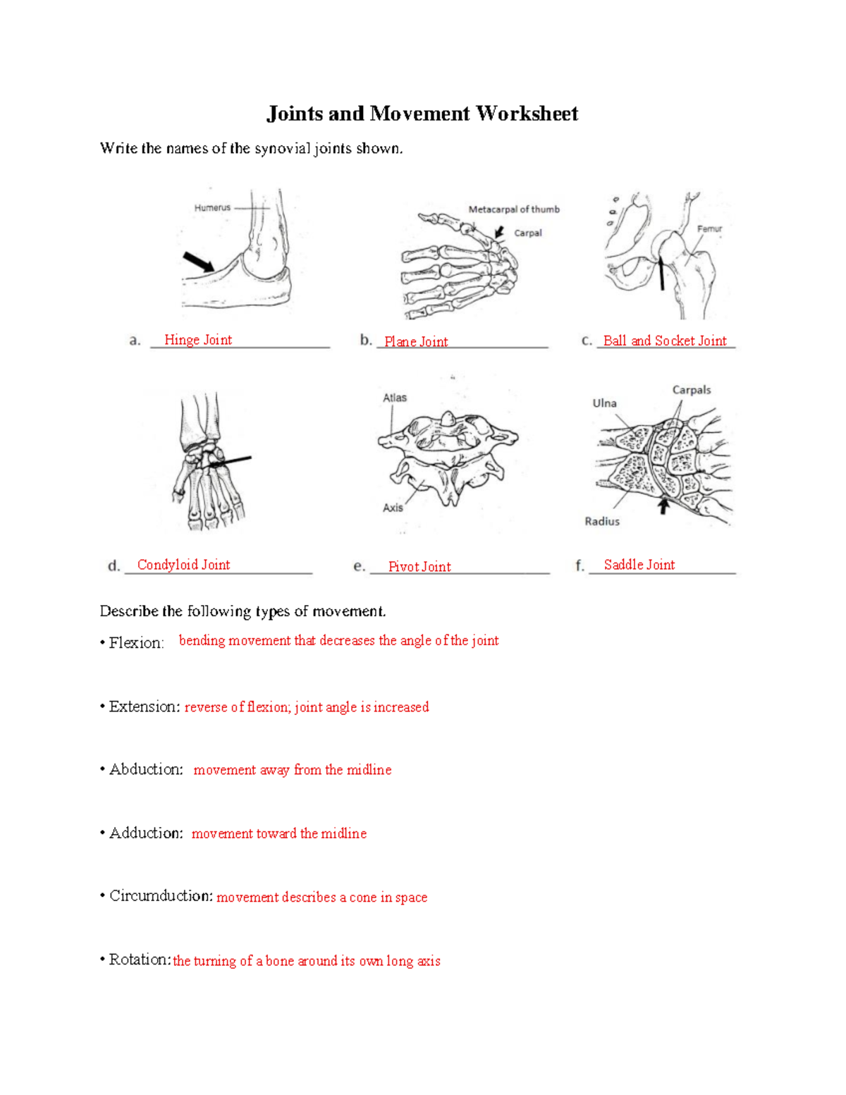 Kami Export Joints And Movement Worksheet Bio101 Studocu