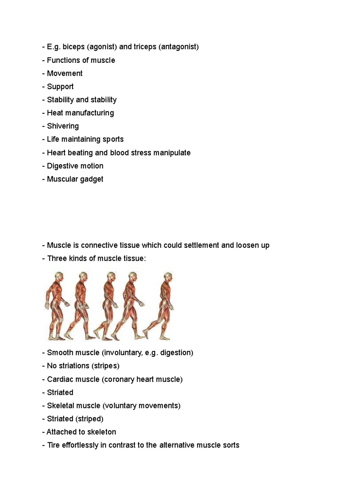 BIo note Movement - E. biceps (agonist) and triceps (antagonist ...